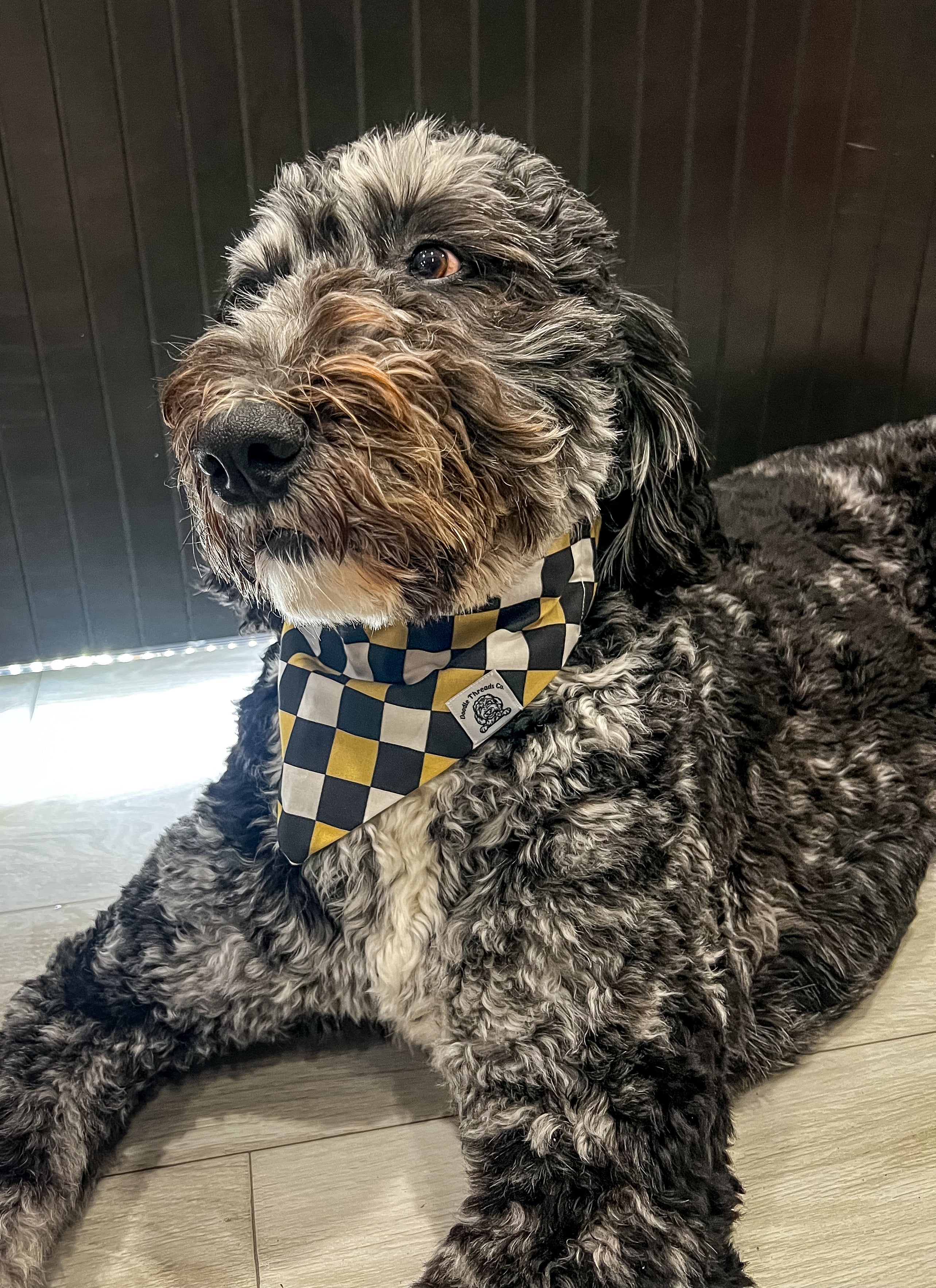Boiler Up – Doodle Threads Co.